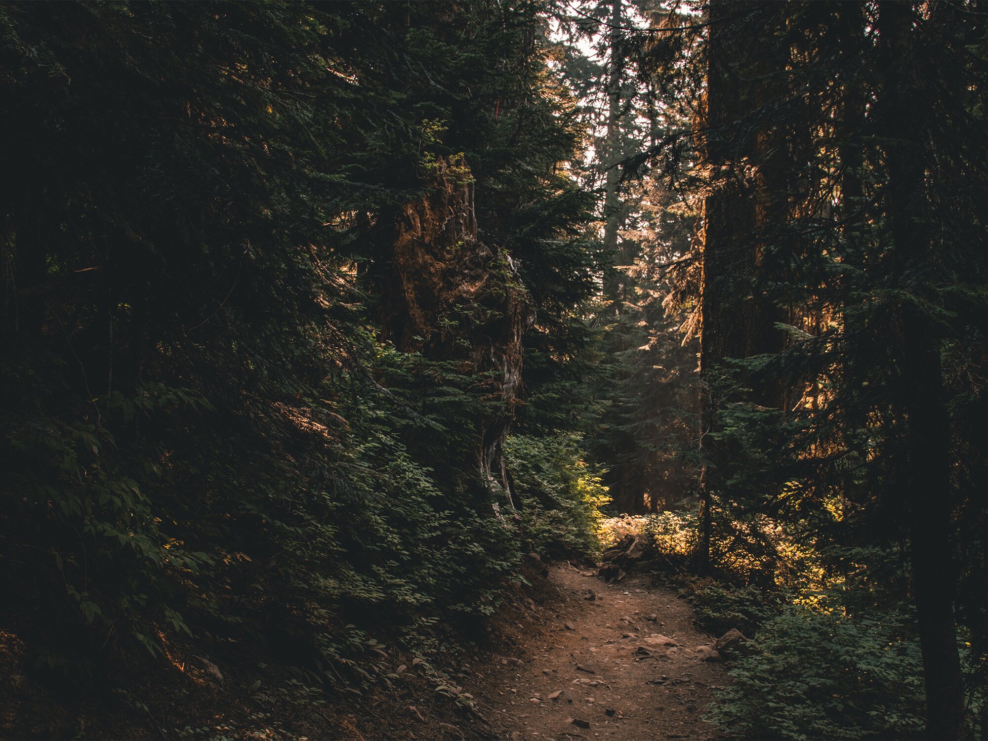 Parc de la Gatineau - Outaouais Plein Air
